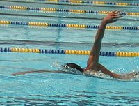 Latest Technique Tip Posted: Freestyle: Straight-Arm Recovery ...