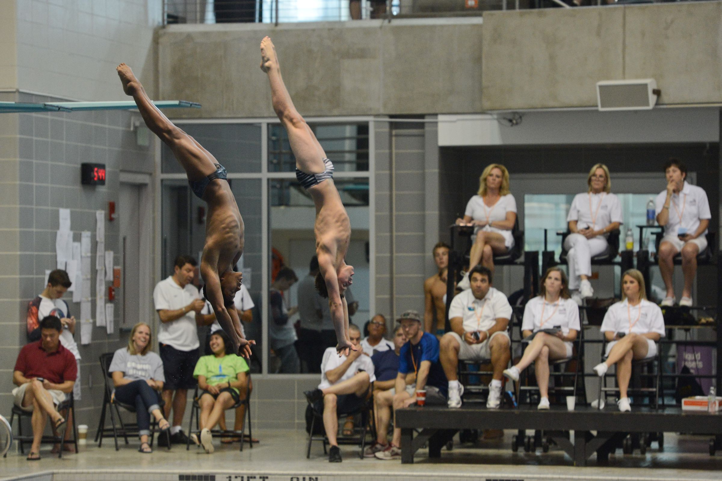 Photo Gallery: USA Diving Junior Nationals - Swimming World News