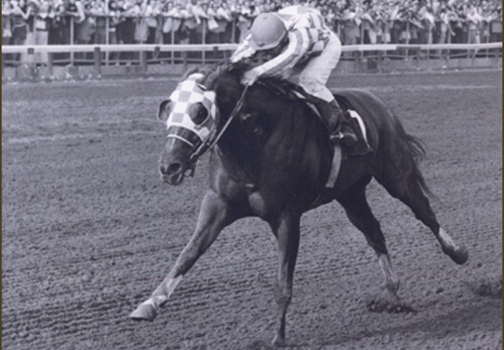 The Heart of A Champion