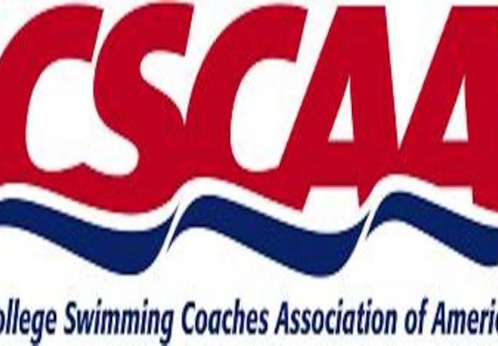 Greg Earhart Officially Selected to Lead CSCAA - Swimming World News