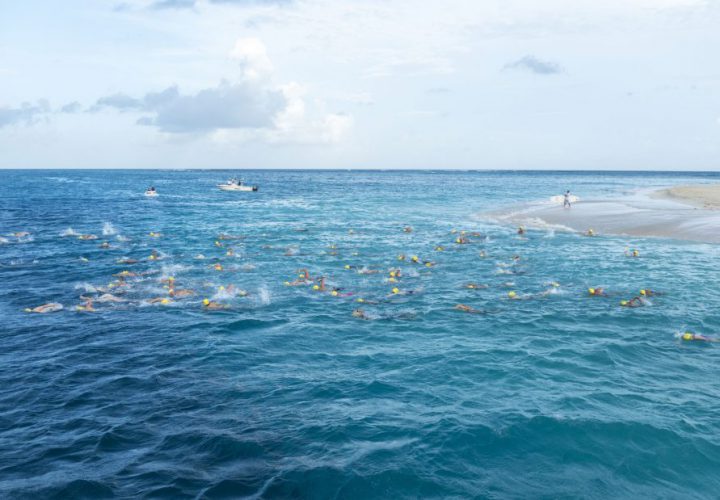 The Buccaneer in St. Croix Reports Record Number For Coral Reef Swim ...