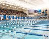 5 Ways Swimming Helps You Find A Job