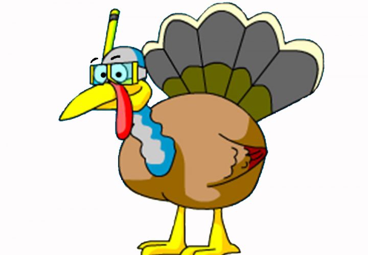 5 Turkey Day Takeaways