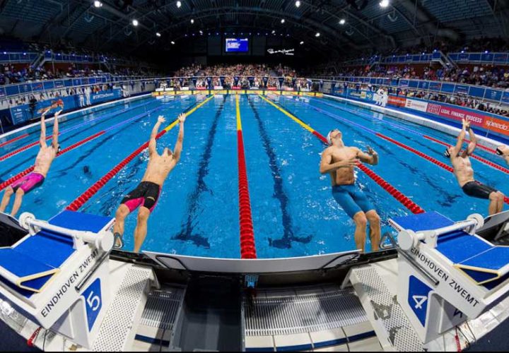 FINA Athletes Committee Releases 2017-2021 Members - Swimming World News
