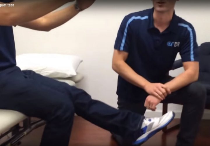 Single Leg Squat Assessment
