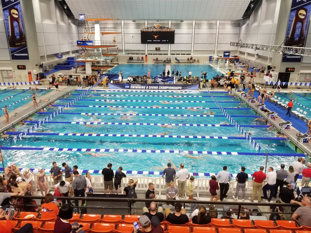2019 NCAA Division I Women's Swimming and Diving Championships: 800 ...