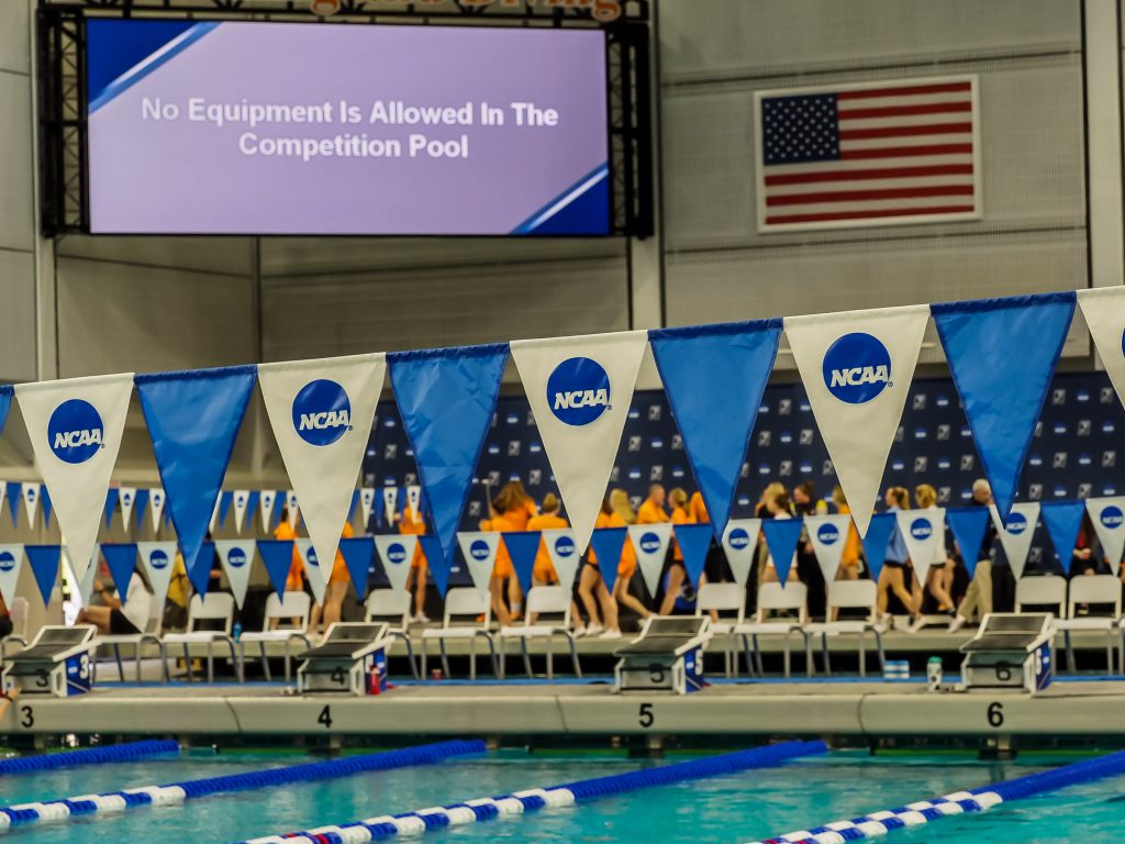 2019 NCAA Division I Men's Swimming Championships: 800 Free Relay Live ...