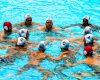 Passages: 1960 200 Butterfly Olympic Gold Medalist Mike Troy Dies at 78